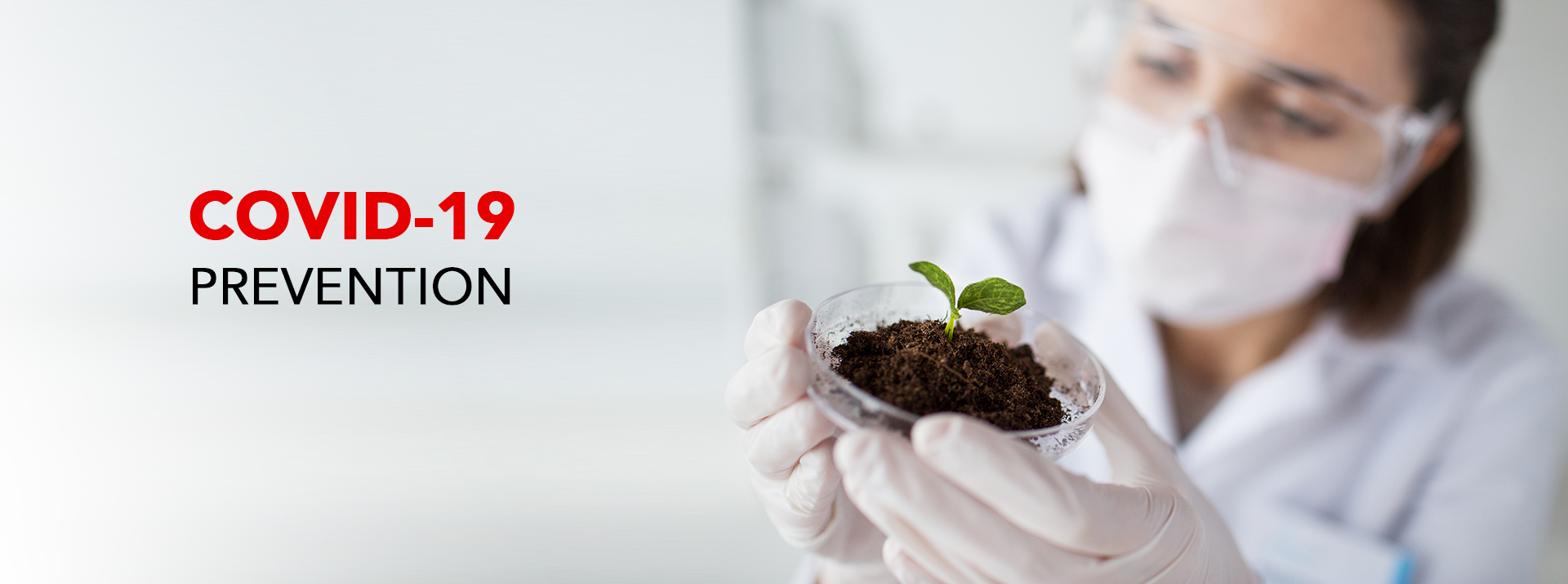 J.D Development CO., LTD.