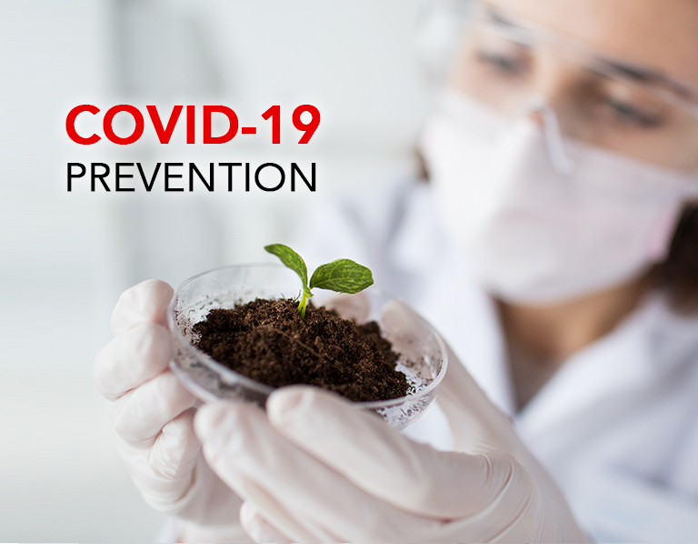 J.D Development CO., LTD.